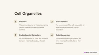 Cell-The-Fundamental-Unit-of-Life..(Basic coverage) | PPT