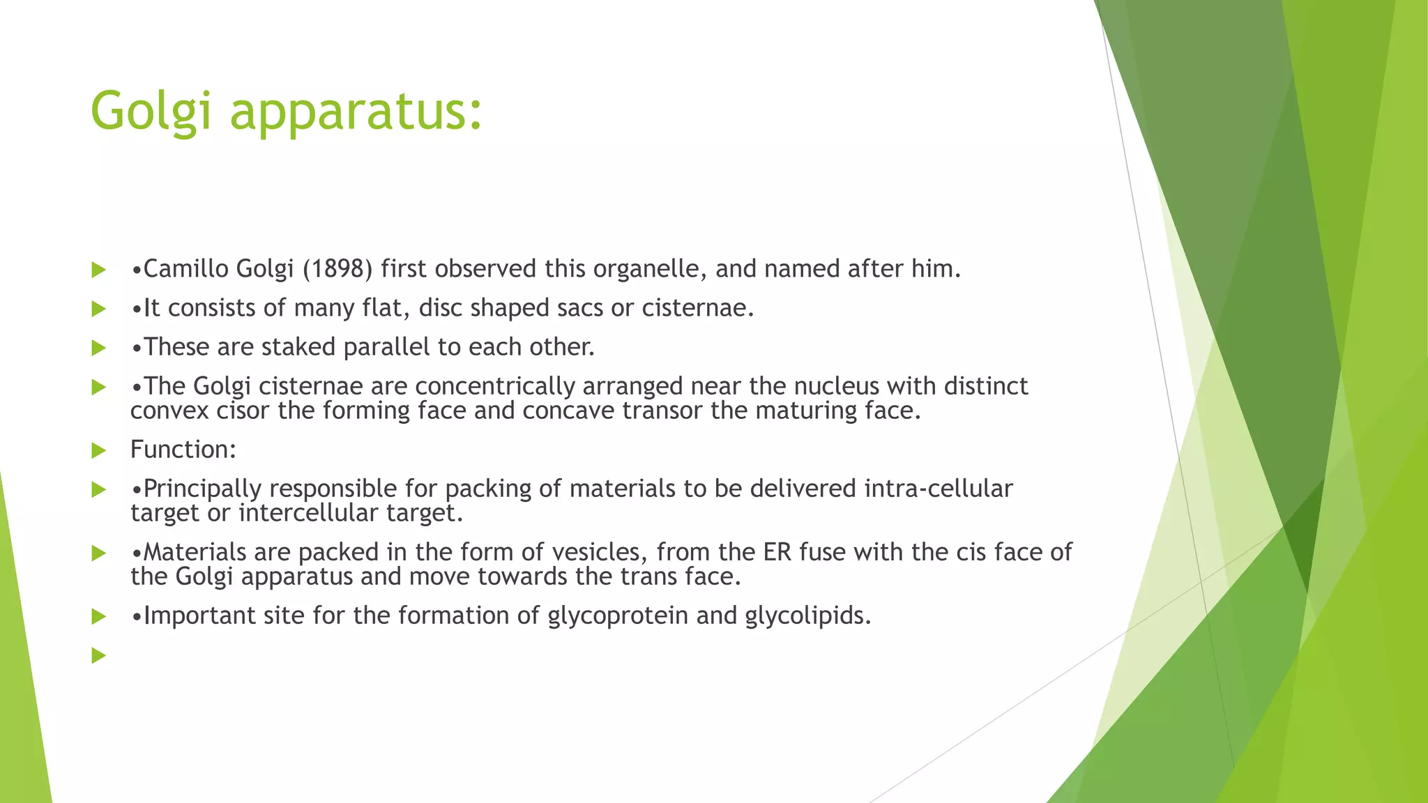 CELL-the-unit-of-life-8.pptx