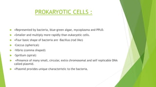 CELL-the-unit-of-life-8.pptx