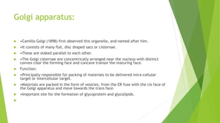 CELL-the-unit-of-life-8.pptx