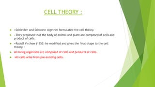 CELL-the-unit-of-life-8.pptx