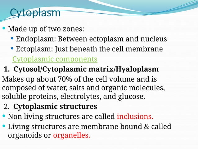 Cell - The Basic Unit of Life (Advanced).pptx