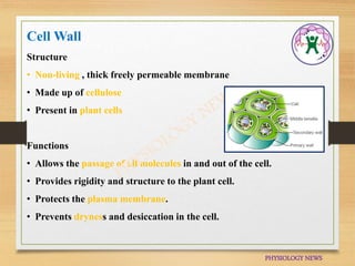 Cell the fundamental unit of life | PPTX