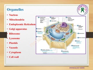 Cell the fundamental unit of life | PPTX