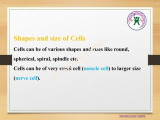 Cell the fundamental unit of life | PPTX