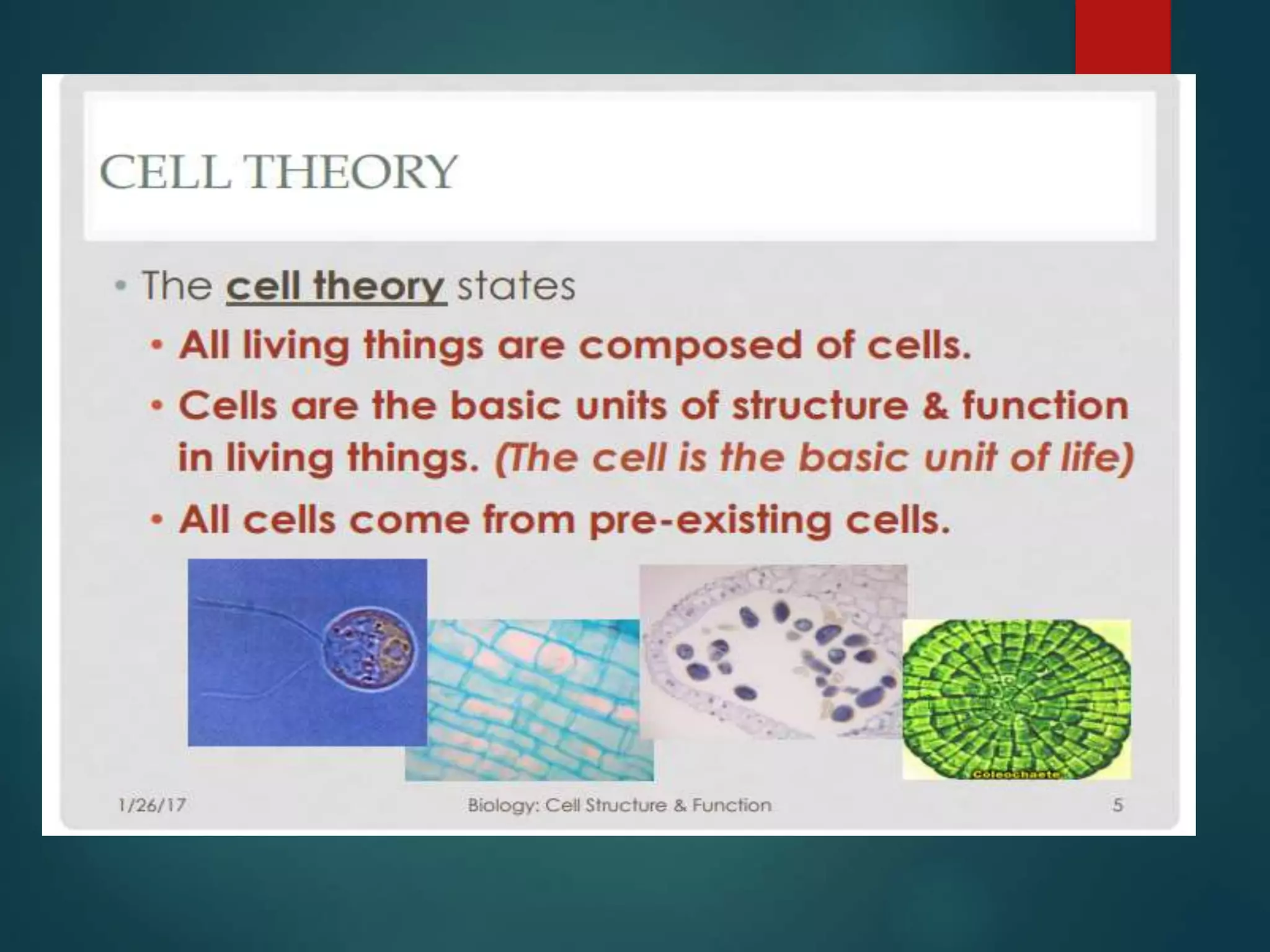Cell-Theory.ppt