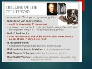 Robert Brown Scientist Cell Theory