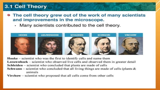CELL-THEORY c.qjw d;owjB SSKd AZLCK.pptx