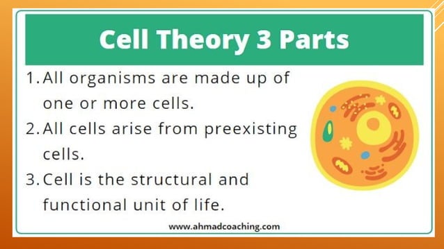 CELL-THEORY c.qjw d;owjB SSKd AZLCK.pptx