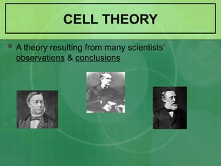 Cell-theory and microscopy introduction1 | PPTX