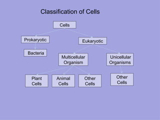 Cell Theory Discussion | PPT