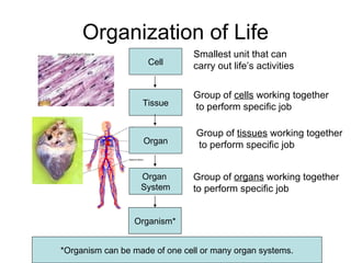 Cell Theory Discussion | PPT