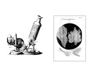 Cell Theory Discussion | PPT