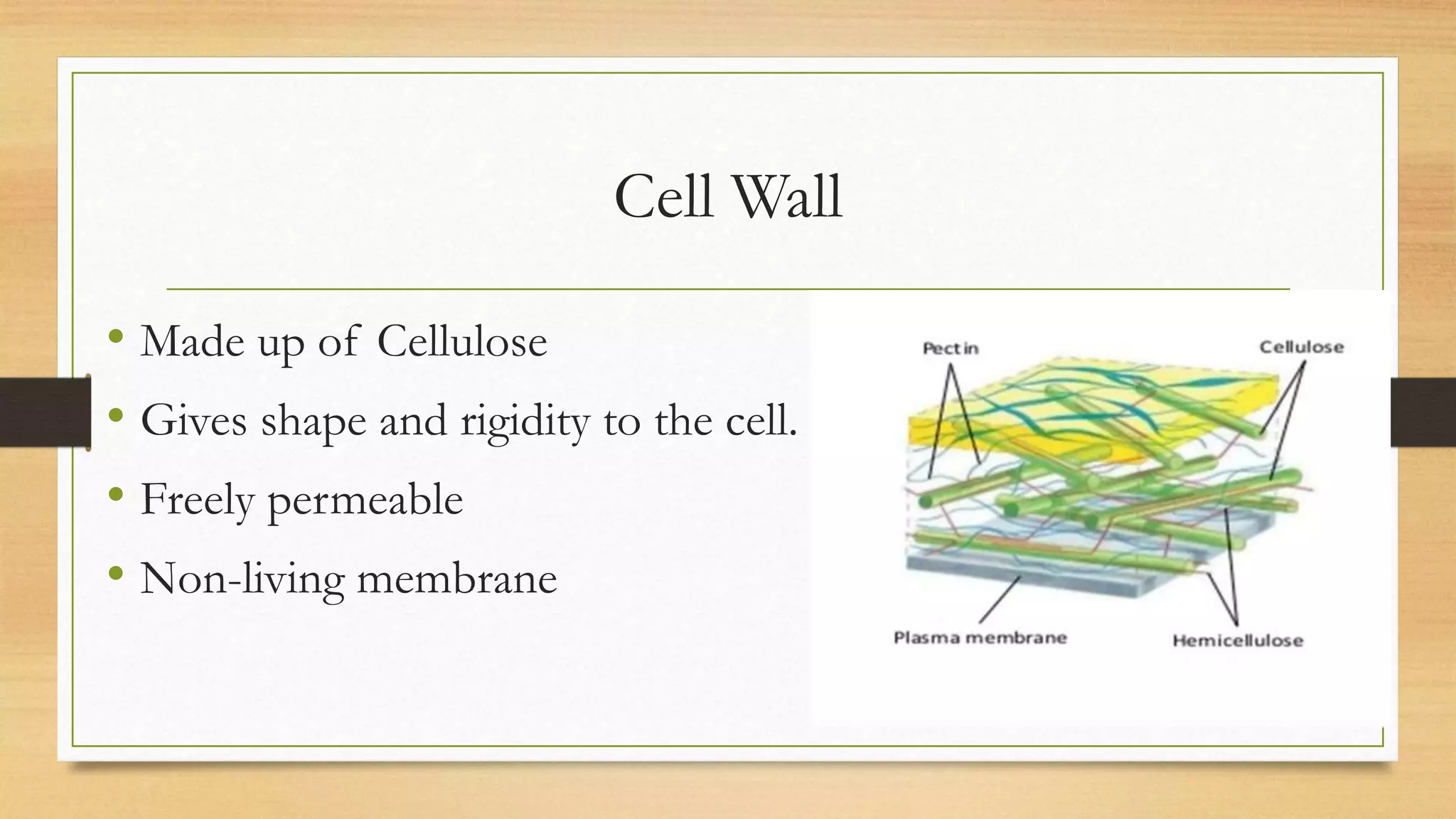 Cell the structrural and functional unit of life | PPTX