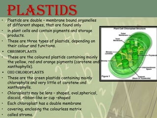 Cell The unit of life | PPT