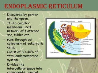Cell The unit of life | PPT