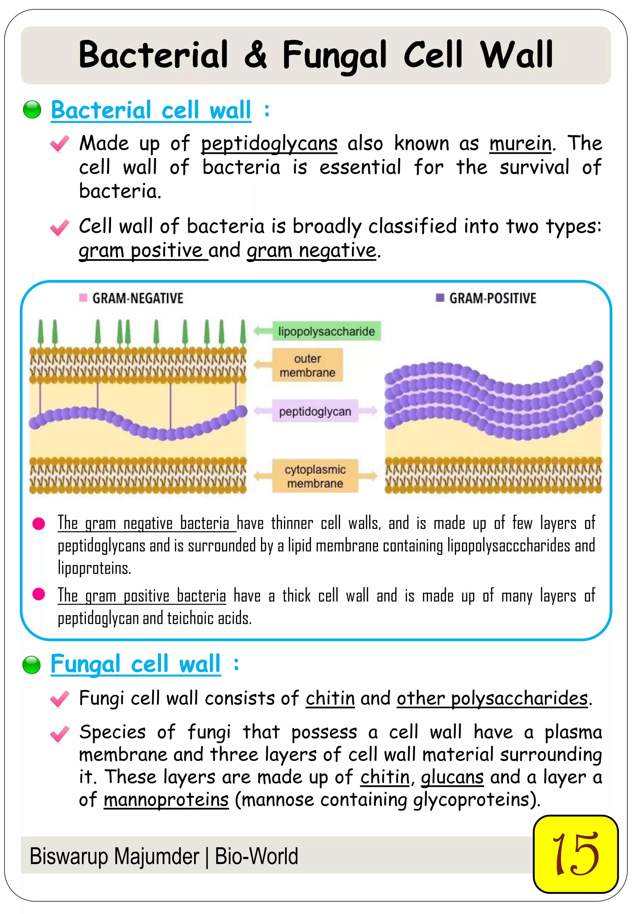 Cell : The Unit of Life | PDF