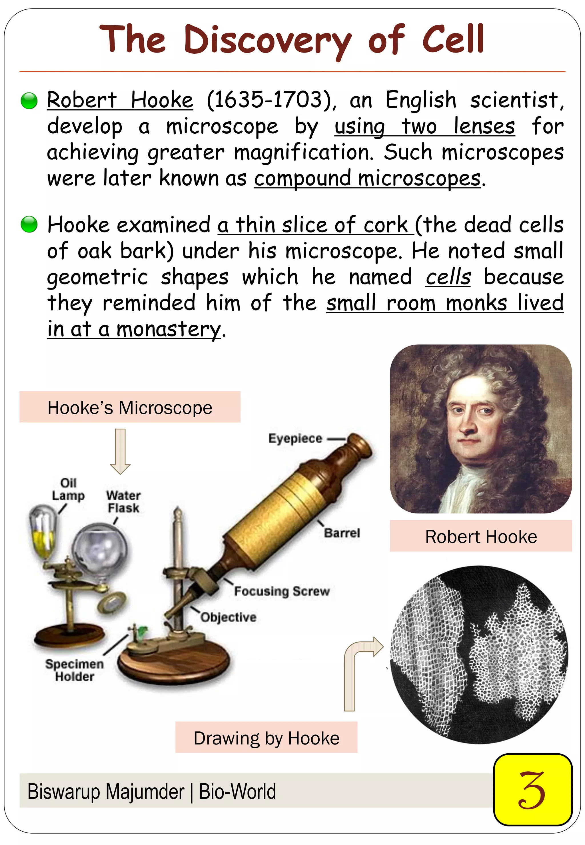 Cell : The Unit of Life | PDF