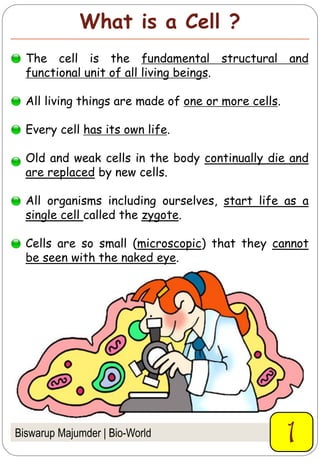 Cell : The Unit of Life | PDF