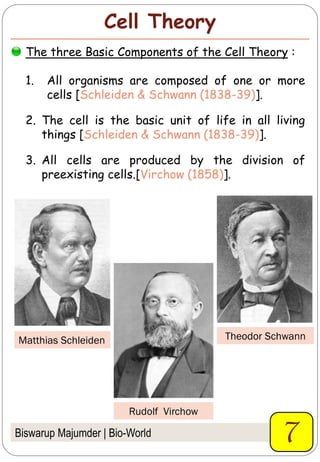 Cell : The Unit of Life | PDF