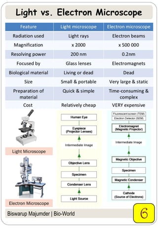 Cell : The Unit of Life | PDF