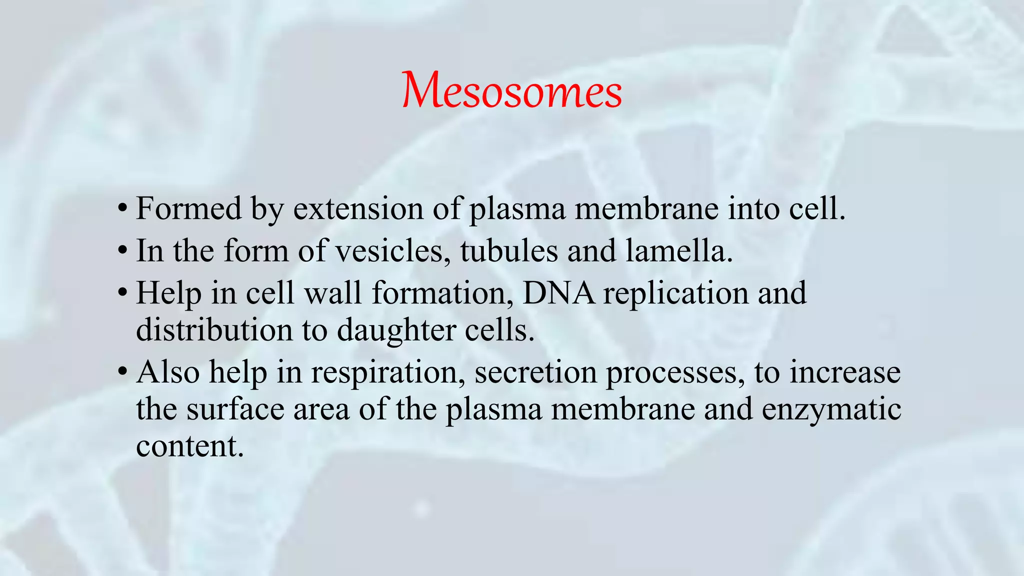 Cell: The Unit of Life | PPTX