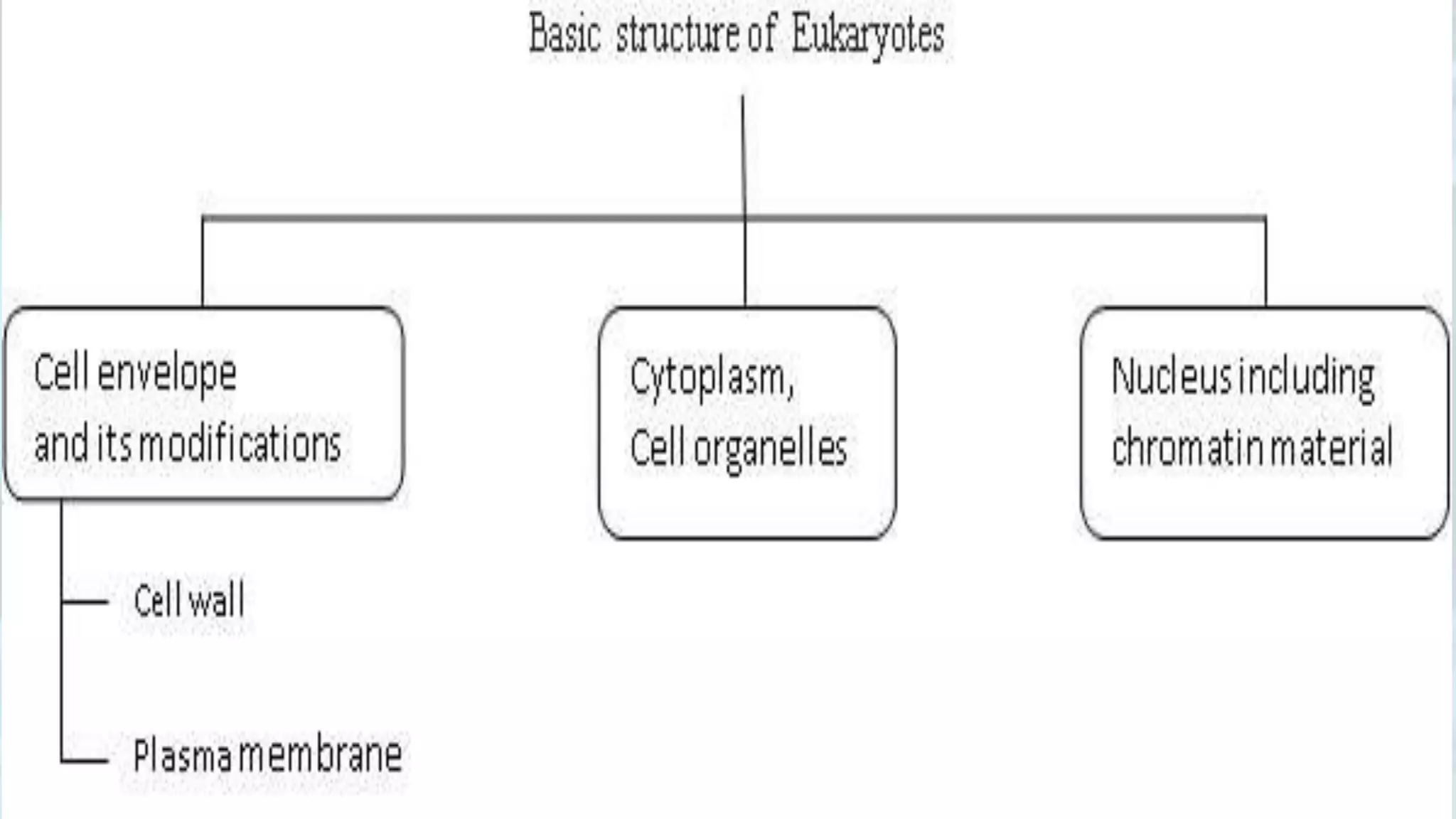 Cell: The Unit of Life | PPTX