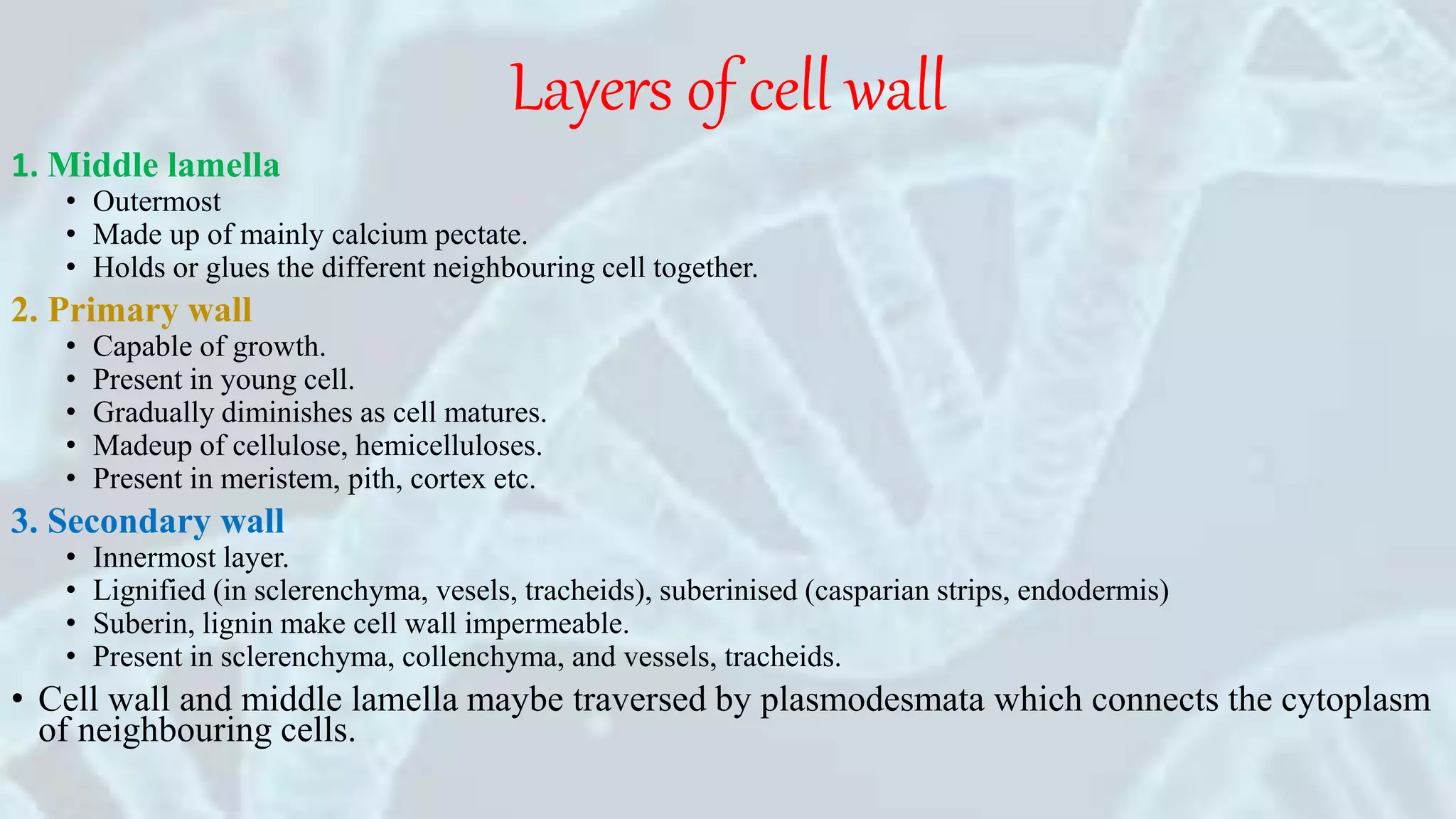 Cell: The Unit of Life | PPTX