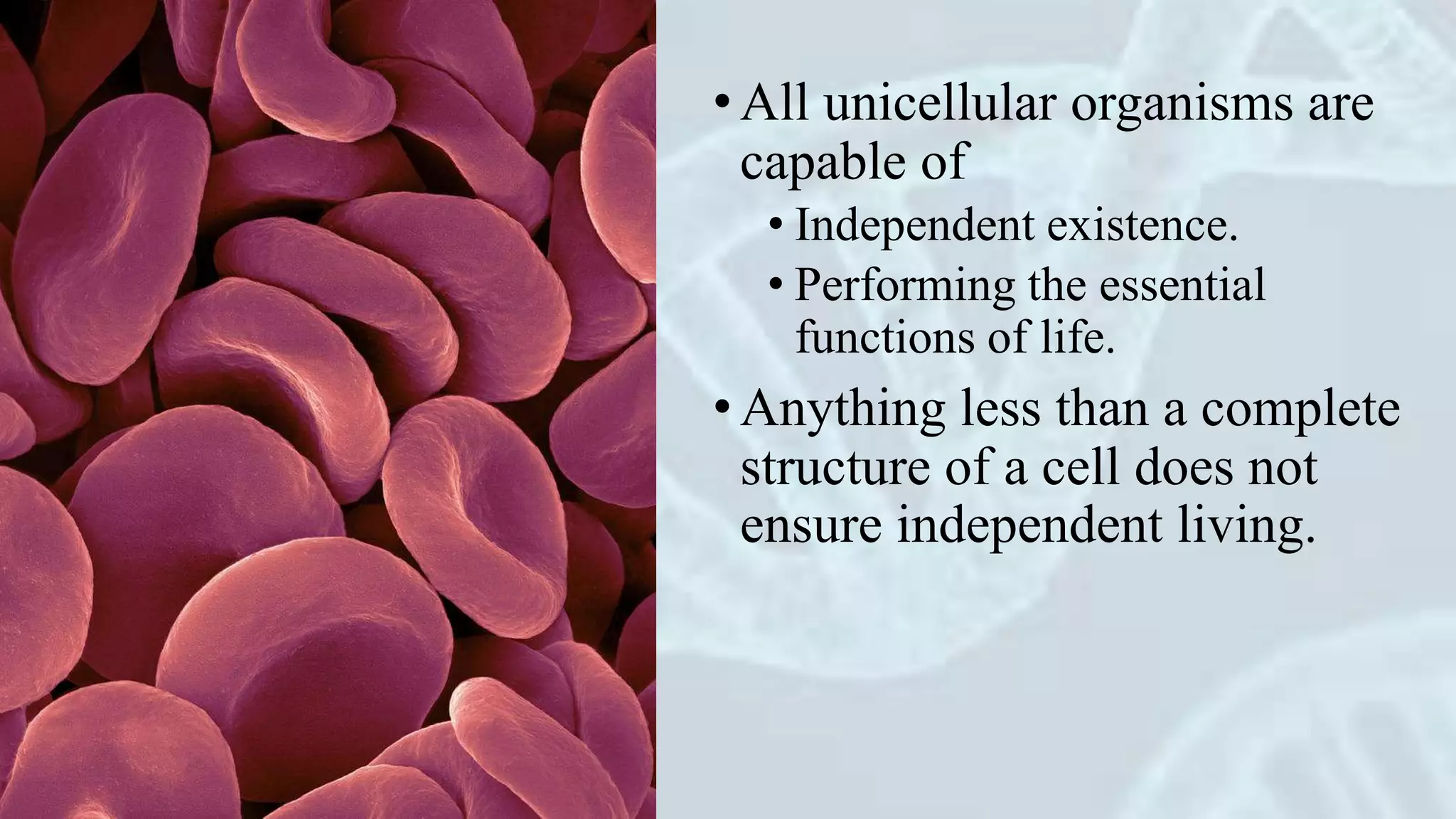 Cell: The Unit of Life | PPTX