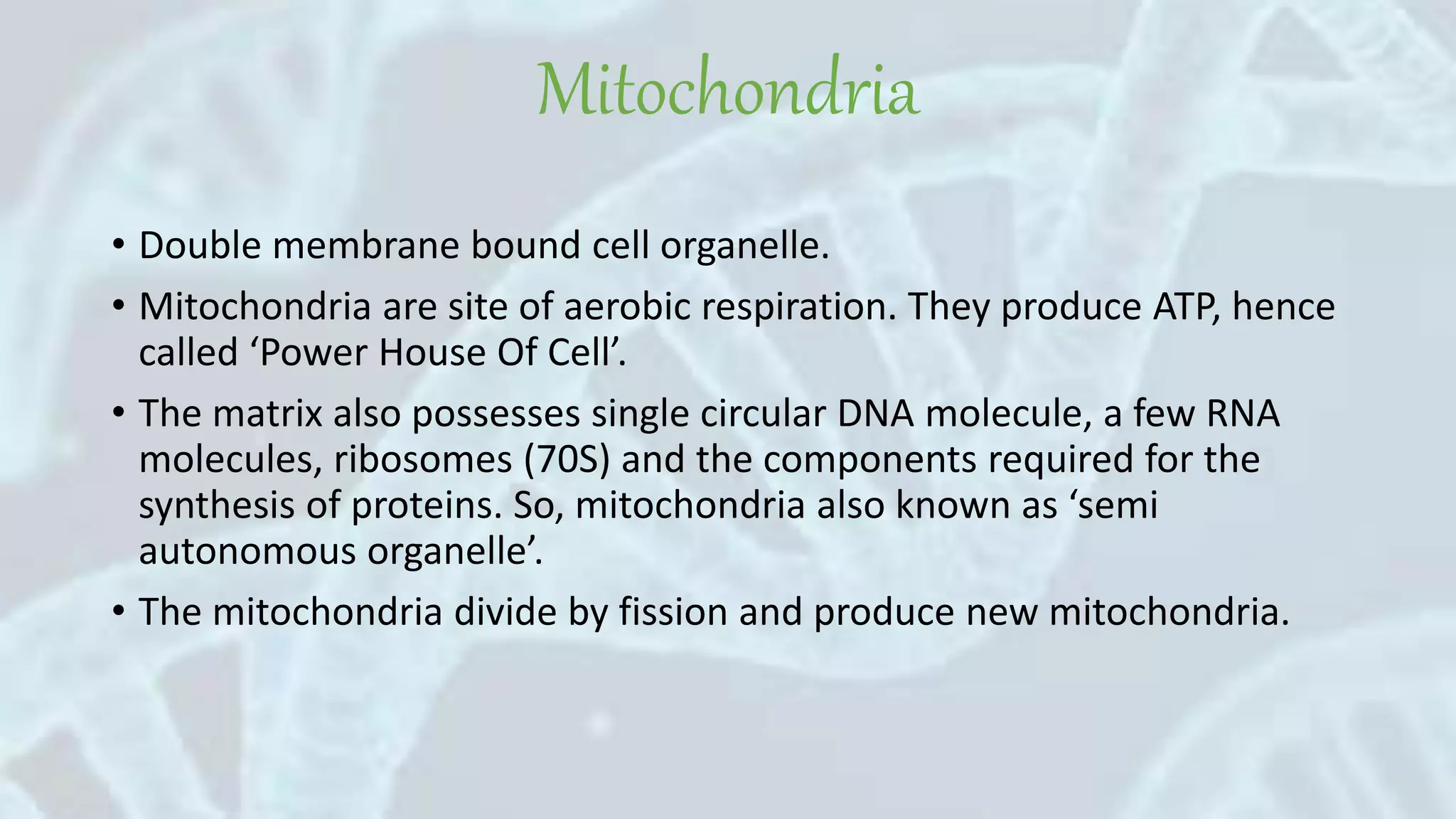 Cell: The Unit of Life | PPTX