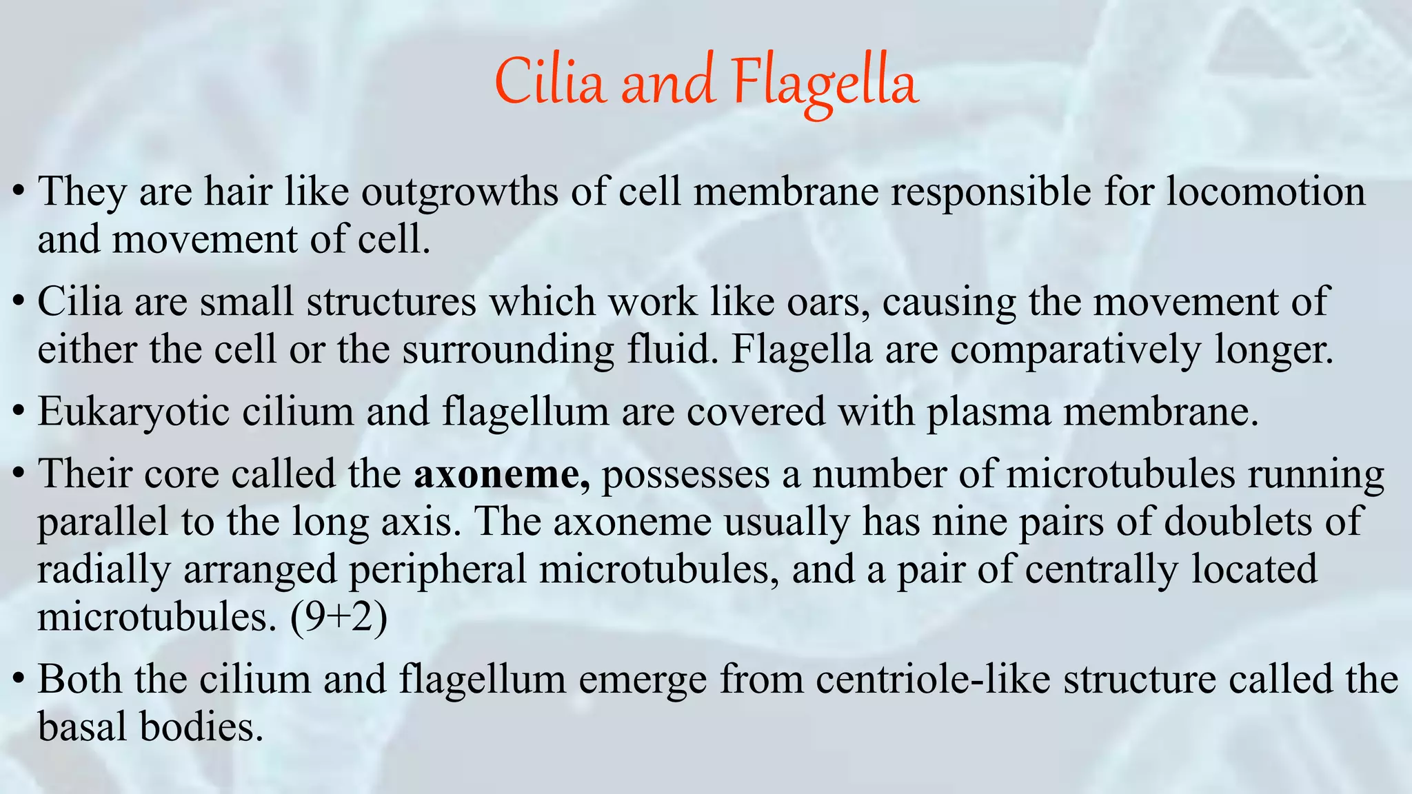Cell: The Unit of Life | PPTX