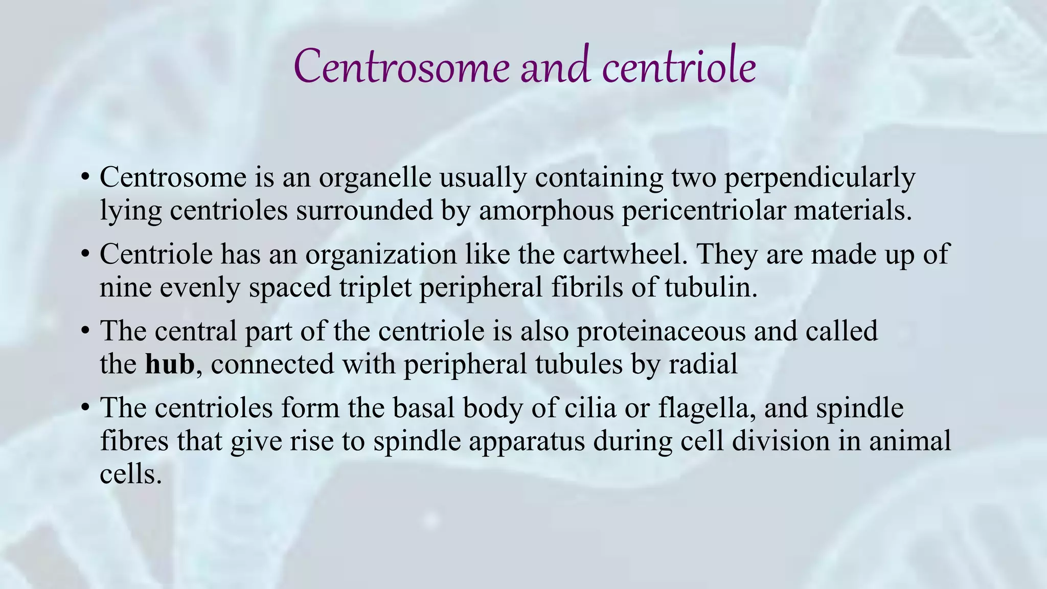 Cell: The Unit of Life | PPTX