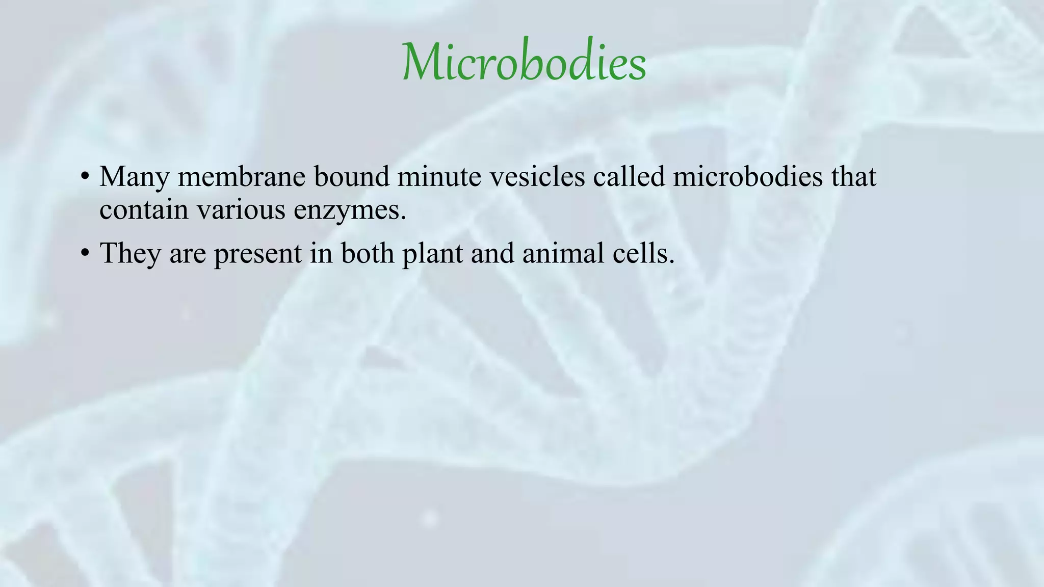 Cell: The Unit of Life | PPTX