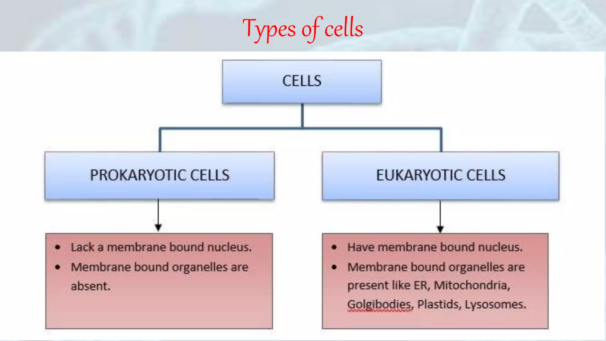 Cell: The Unit of Life | PPTX