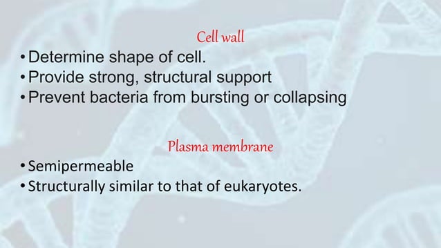 Cell: The Unit of Life | PPTX | Biological Sciences | Science