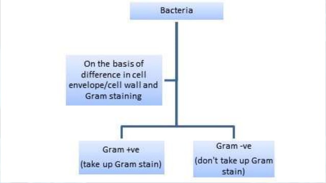 Cell: The Unit of Life | PPTX | Biological Sciences | Science