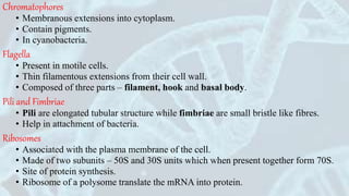 Cell: The Unit of Life | PPTX