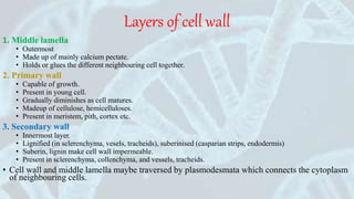 Cell: The Unit of Life | PPTX