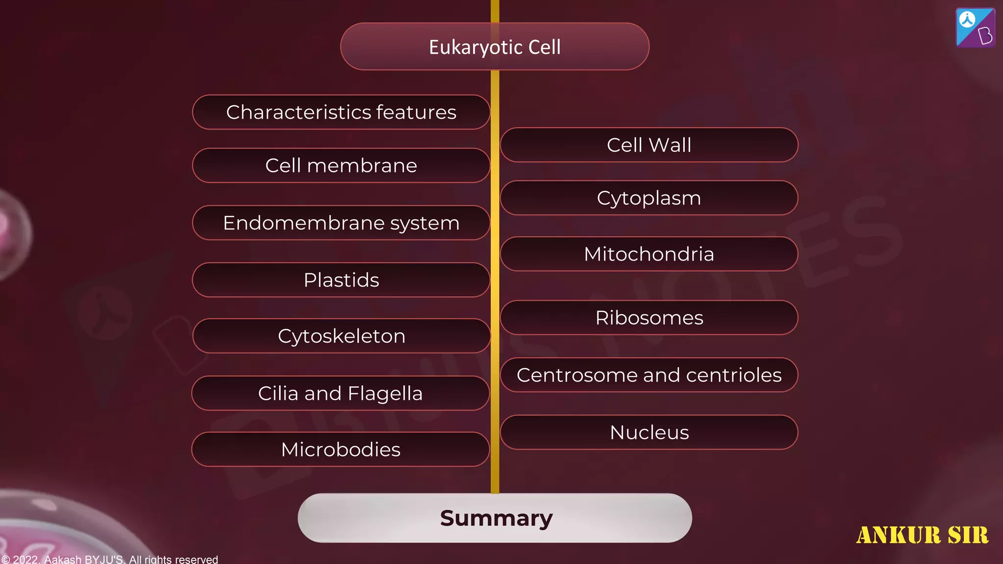 Cell - the Unit of Life.pdf