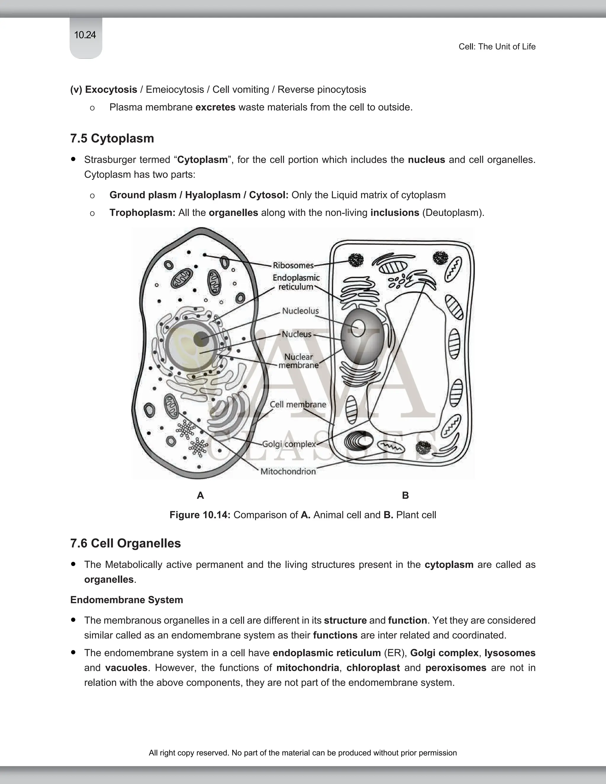 Cell the unit of life class 11 Biology notes or study material pdf ...