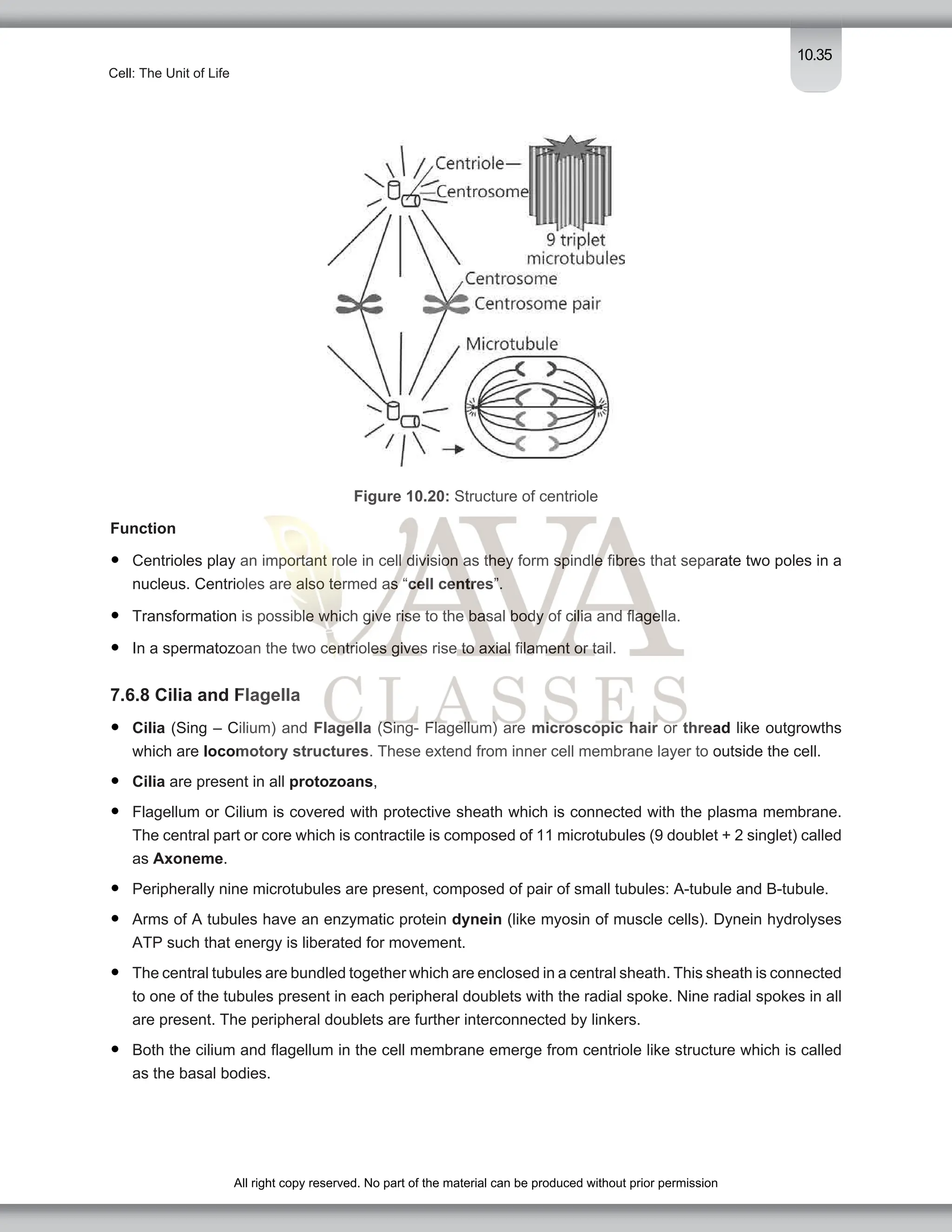 Cell the unit of life class 11 Biology notes or study material pdf ...