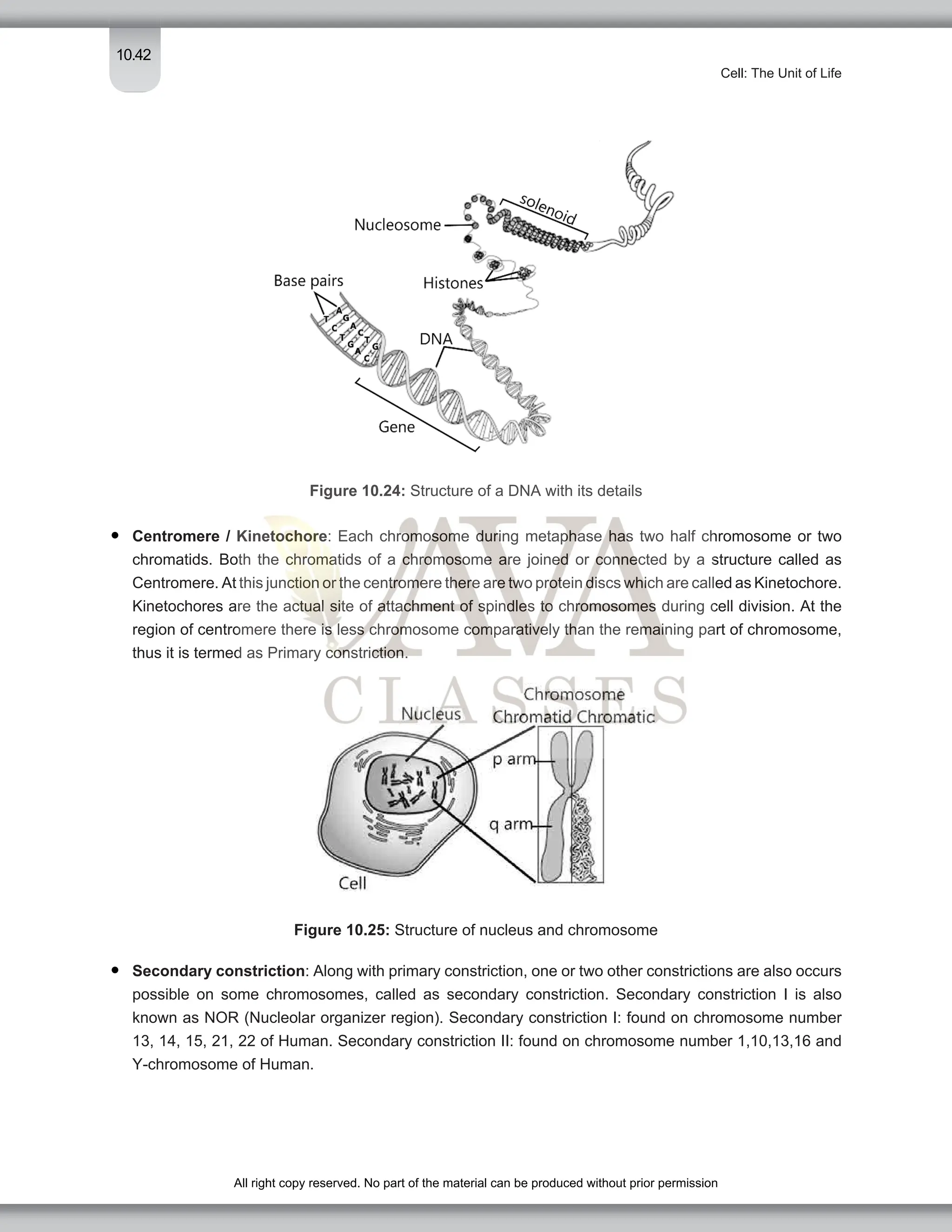 Cell the unit of life class 11 Biology notes or study material pdf ...