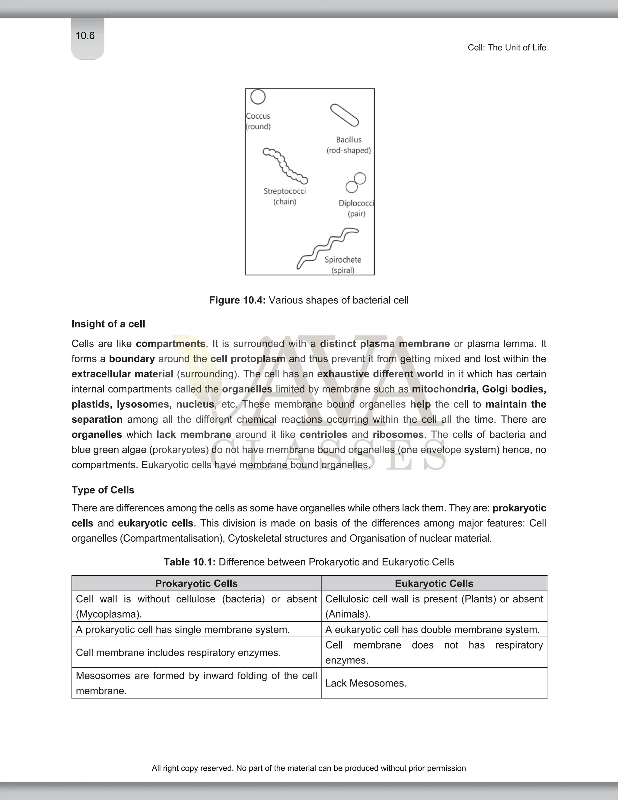 Cell the unit of life class 11 Biology notes or study material pdf ...