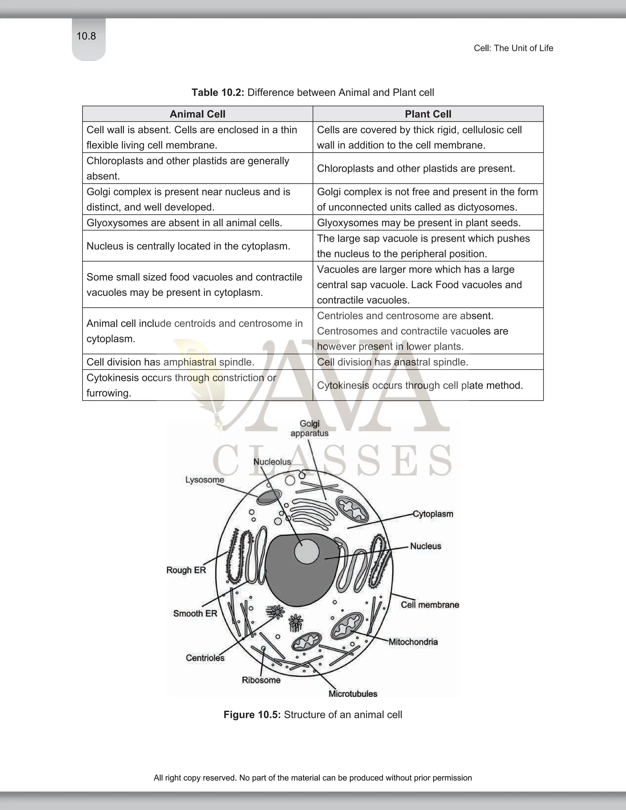 Cell the unit of life class 11 Biology notes or study material pdf ...