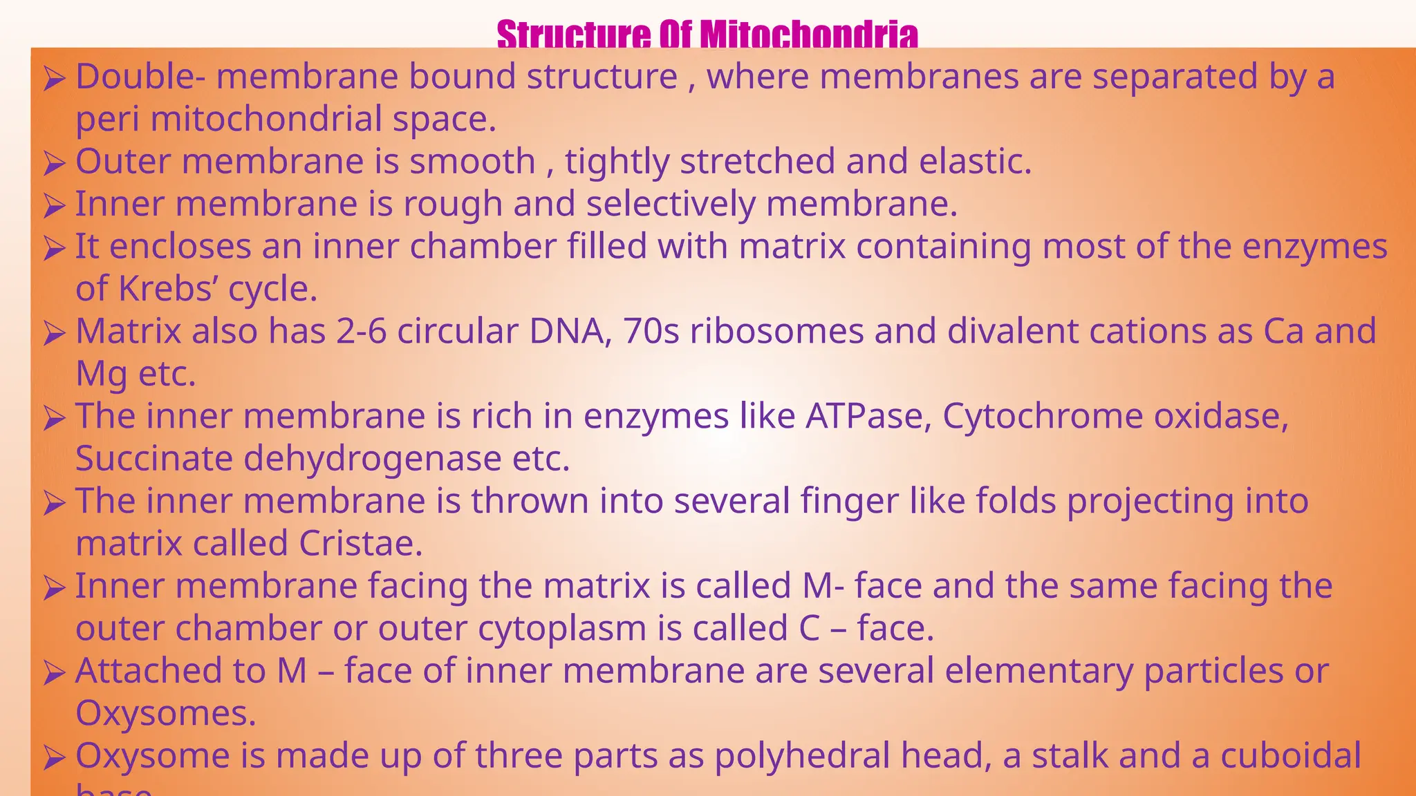 Cell - The Unit of Life organelles about cell class 11 standard.pptx