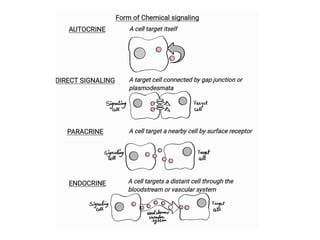 Cell-To-Cell Communication and signaling in plants.ppt