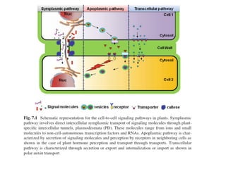 Cell-To-Cell Communication and signaling in plants.ppt