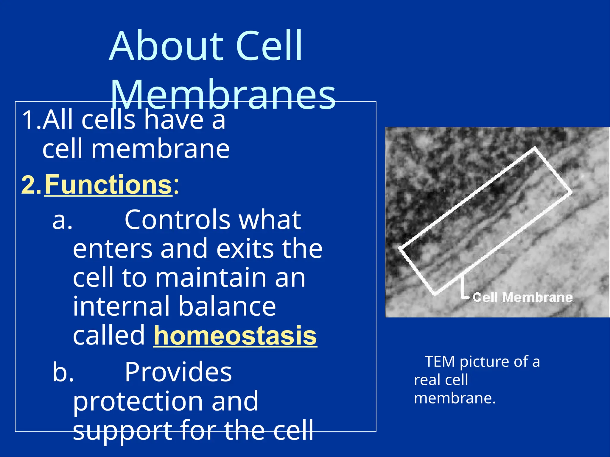 CELL-TRANSPORT TYPES AND DEFINITIONS.pptx