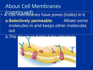 CELL-TRANSPORT TYPES AND DEFINITIONS.pptx