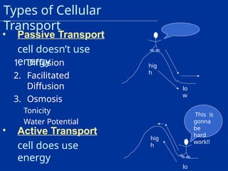 CELL-TRANSPORT TYPES AND DEFINITIONS.pptx